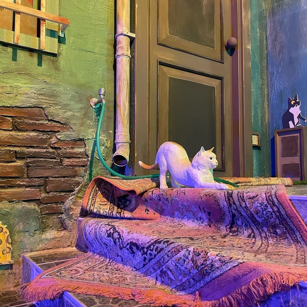 Discover Istanbul's 1st cat-themed museum on International Cat Day ...