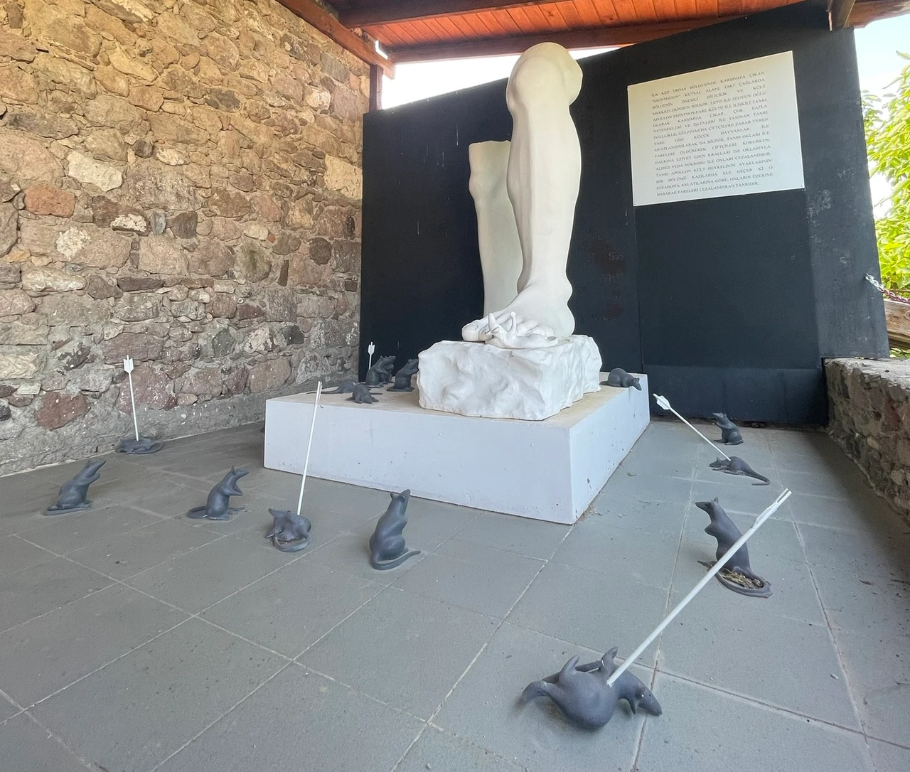 Ancient tomb uncovered in Türkiye’s 'village of mice' at Apollo ...