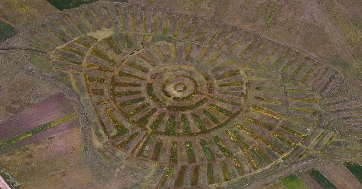 Andean farmers fight climate change using centuries-old techniques ...