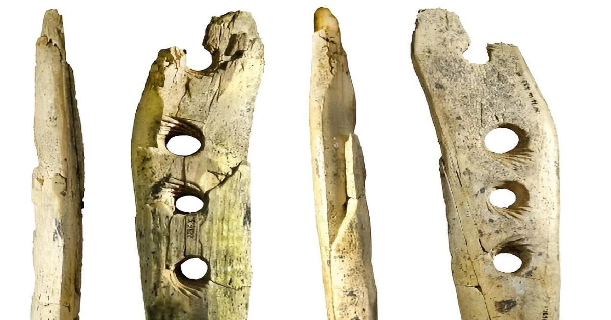 Experimental archaeology carried out on 37,000-year-old ivory tool used ...