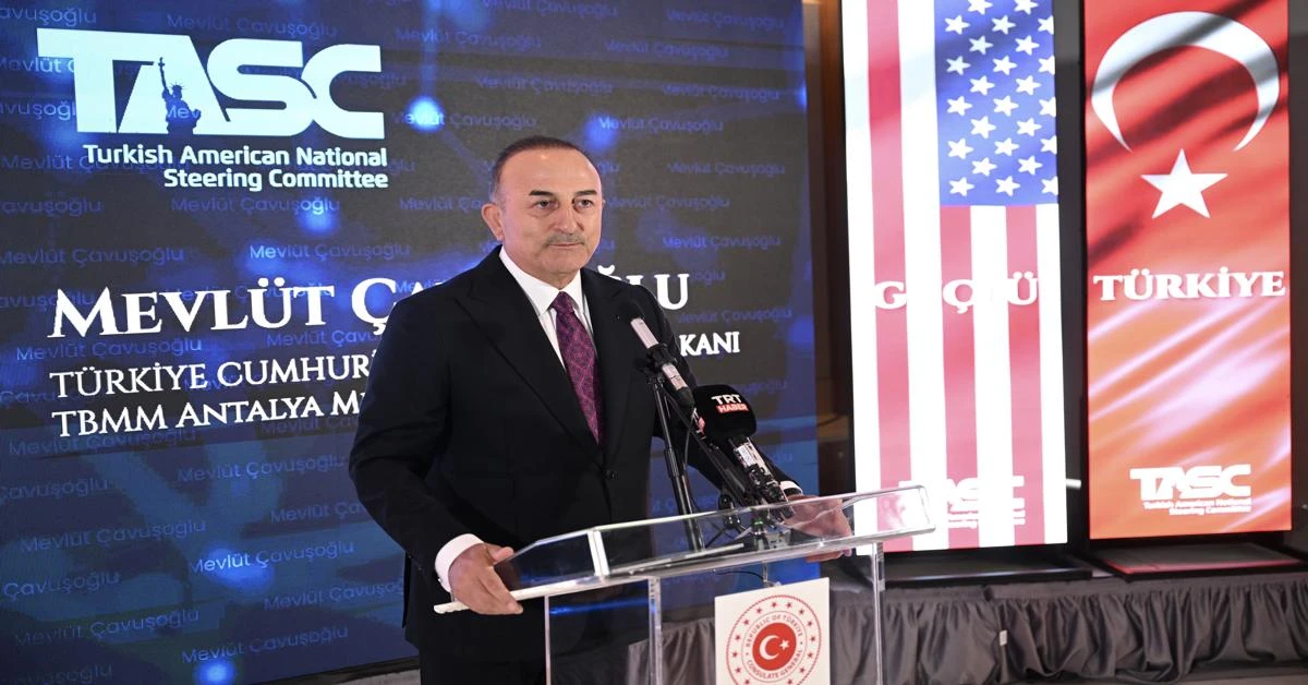 NATO PA Turkish Delegation head urges Turkish-American unity - Türkiye ...