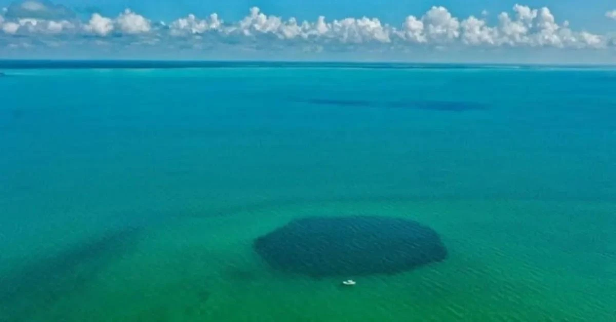 New research reveals extensive depths, caves in Mexico's Taam Ja' Blue ...