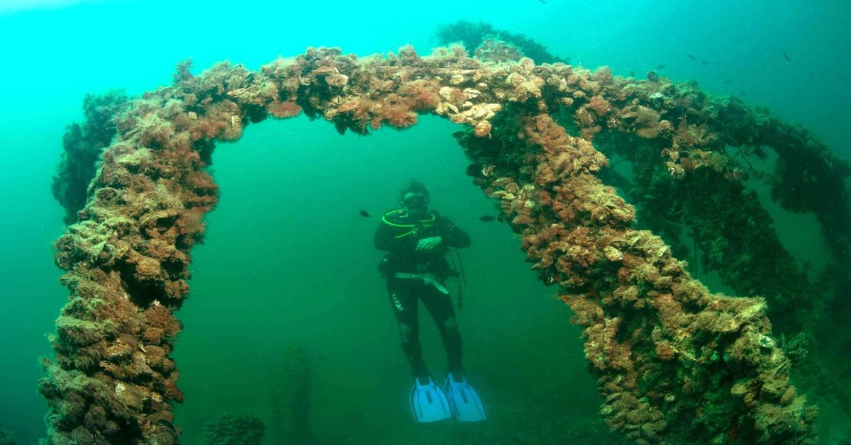 War wrecks draw diving enthusiasts to Gelibolu Underwater Park ...