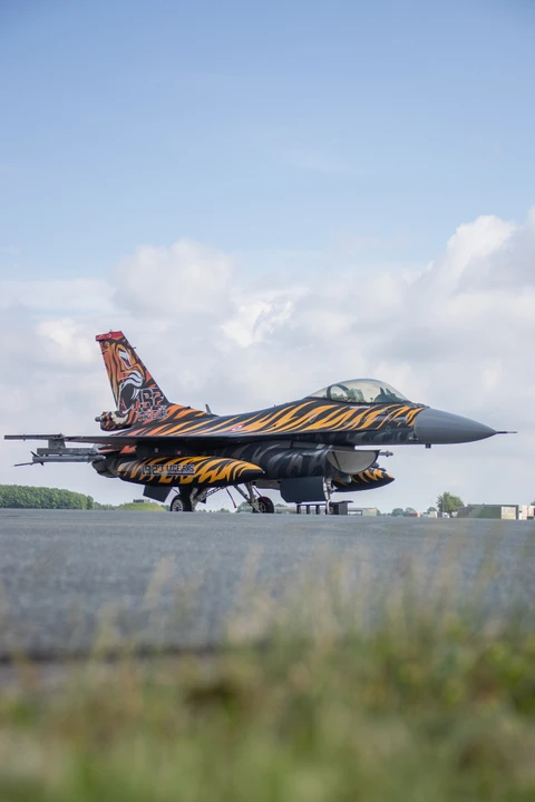 NATO's Tiger Squadrons gather in Germany for 2024 meet - Türkiye Today