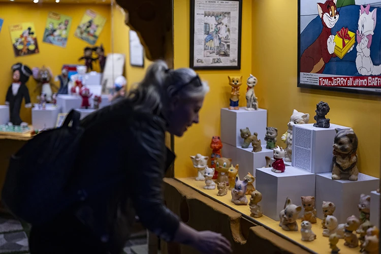 Discover Istanbul's 1st cat-themed museum on International Cat Day ...