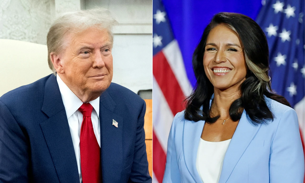 Trump's new intel director Tulsi Gabbard's radical, worrisome comments ...