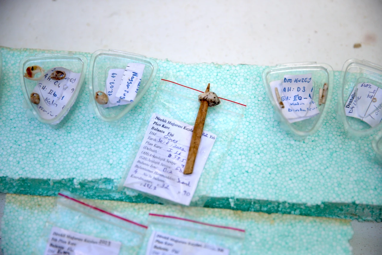 Ancient sewing tools unearthed in Türkiye reveal 13,000 years of ...