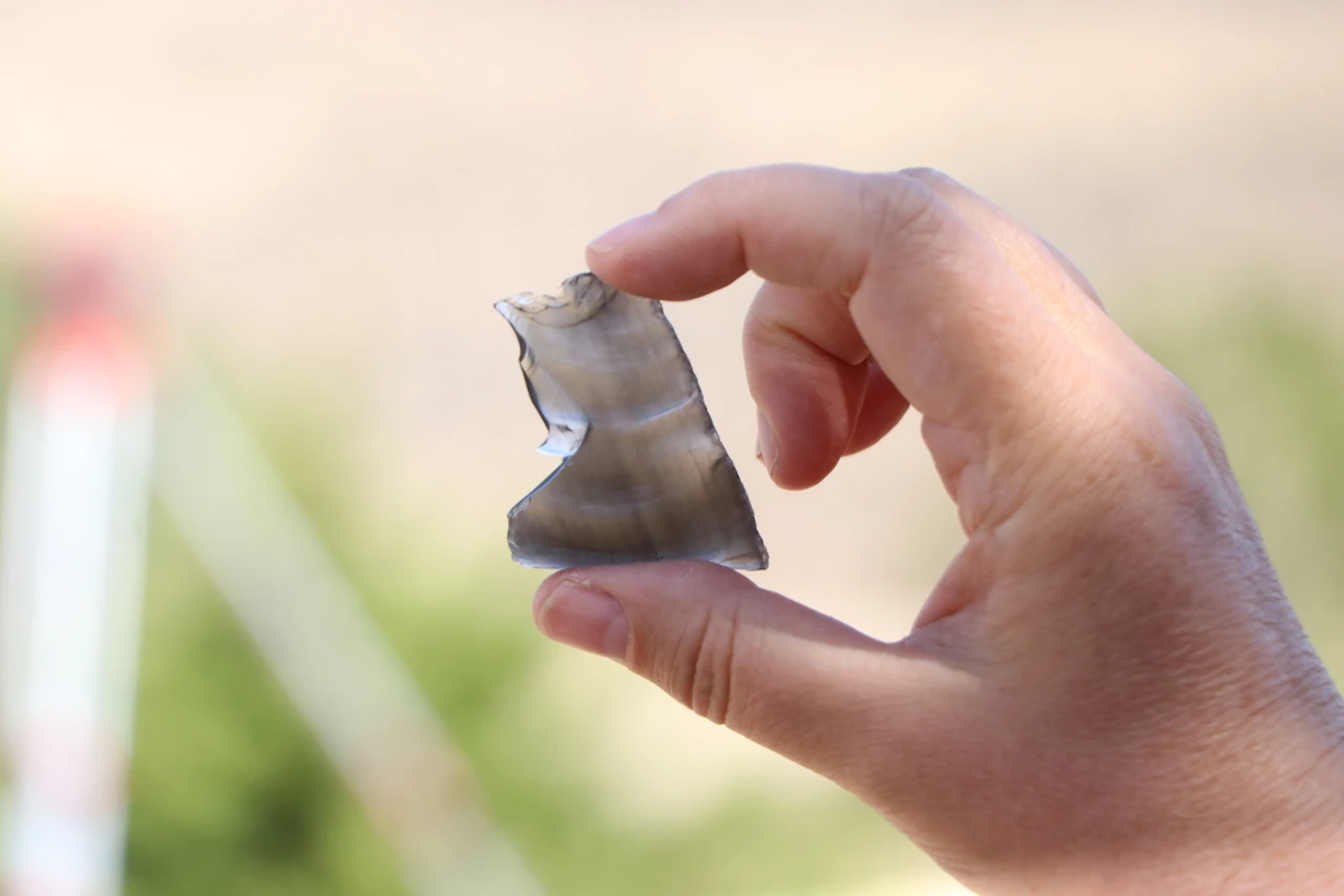 Obsidian from Golludag sheds light on prehistoric trade and migration ...