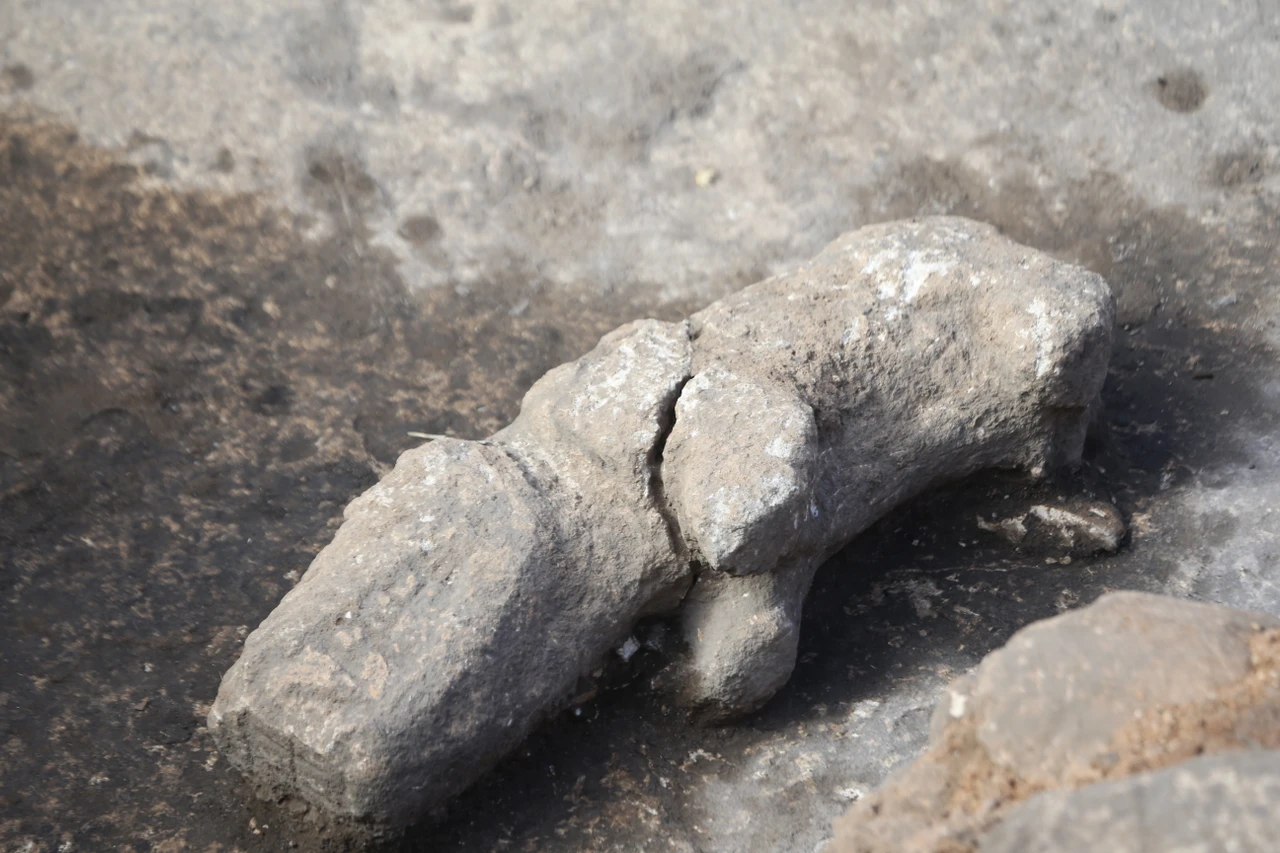 Karahantepe’s hidden relics leopard bones, fire pits in Türkiye reveal ...