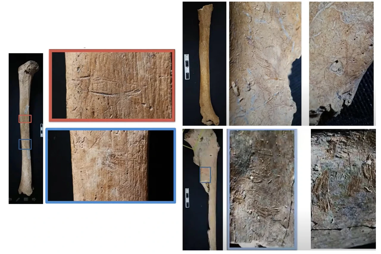 Horrors of crusaders in Türkiye: Iznik dig unearths evidence of ...