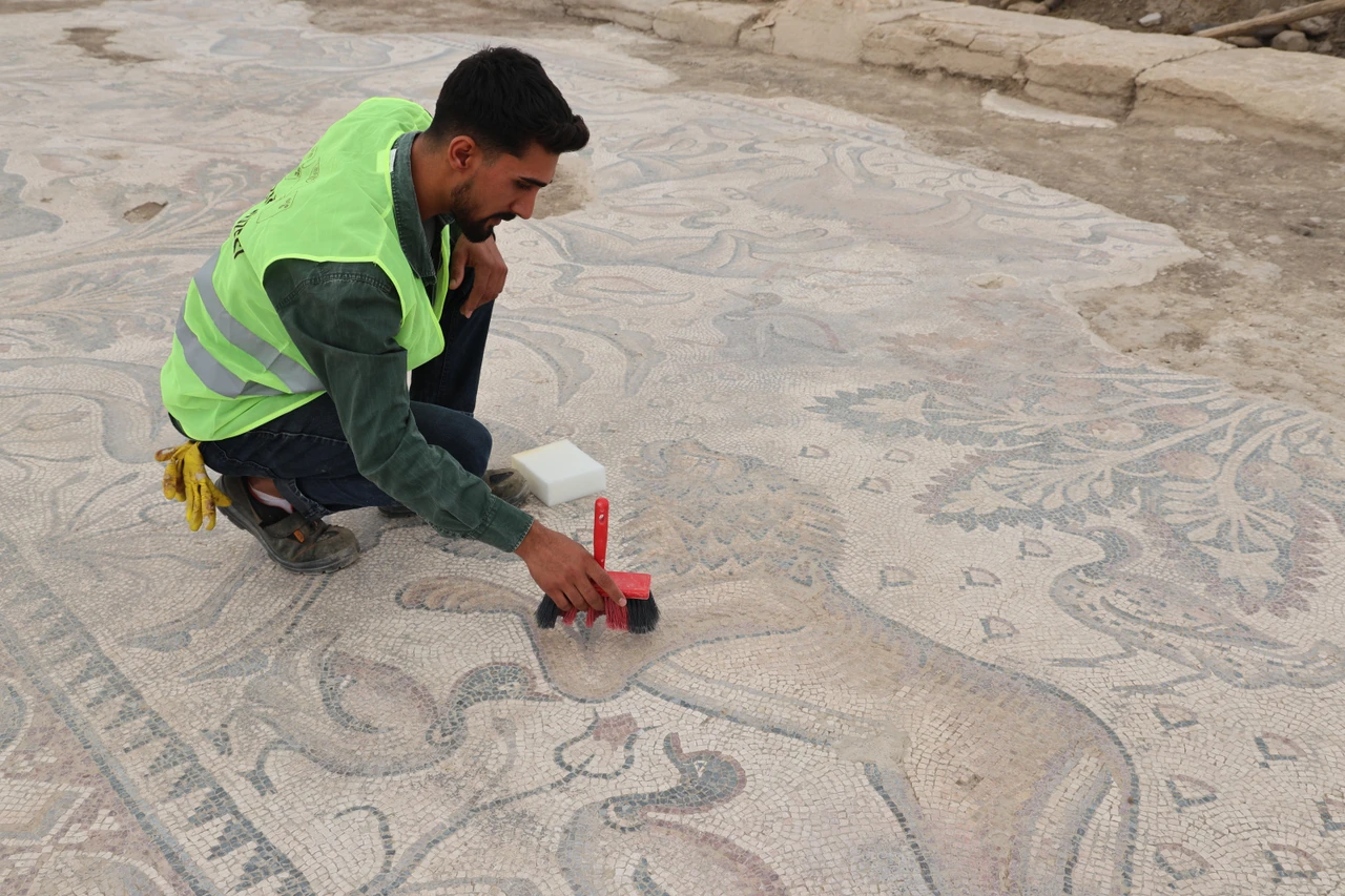 Türkiye's groundbreaking discovery: 84 square meter mosaic unearthed ...