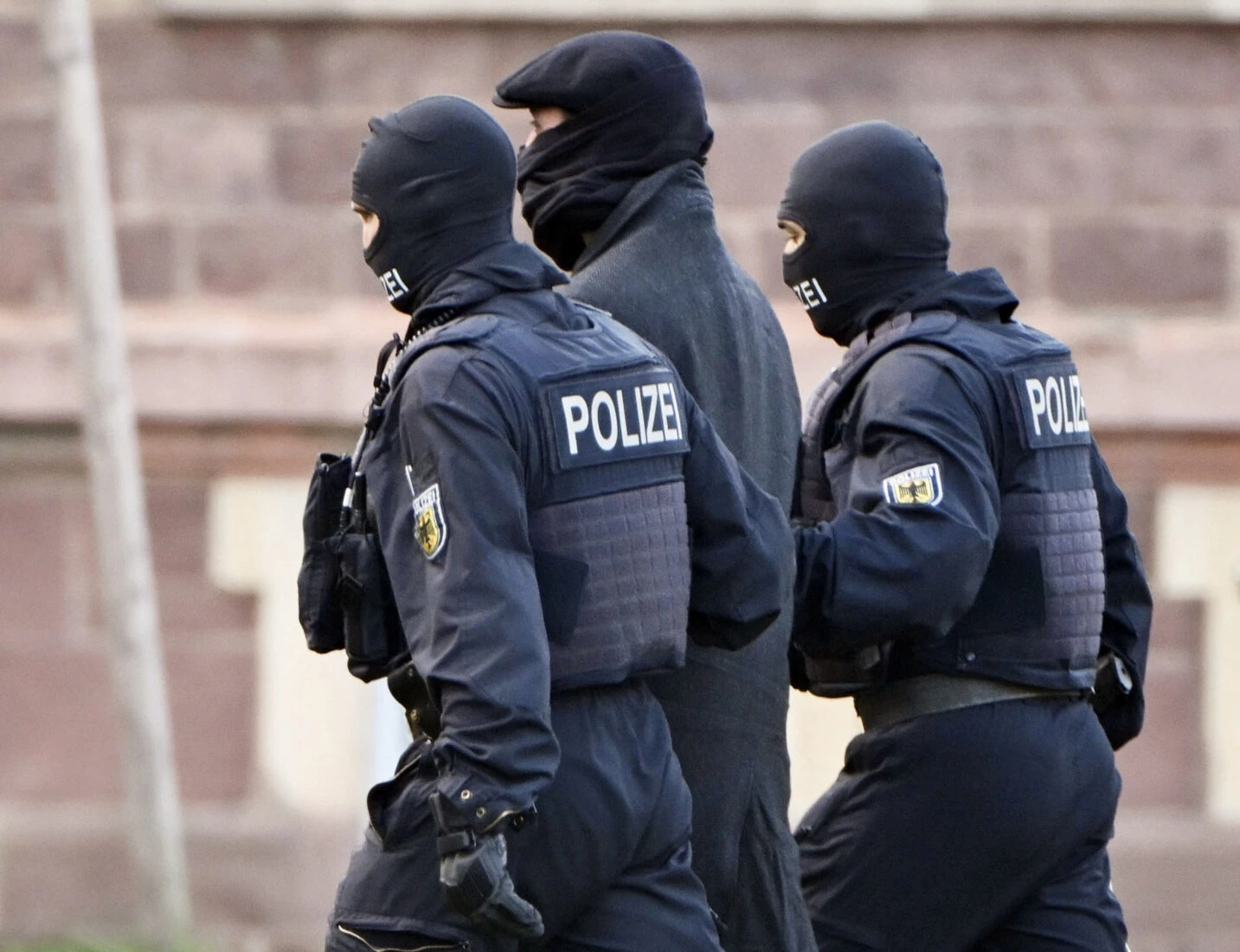 Germany arrests 8 neo-Nazis over suspected terrorism plots - Türkiye Today
