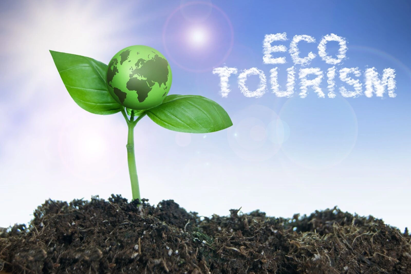 Eco-tourism and sustainable travel in Türkiye - Türkiye Today