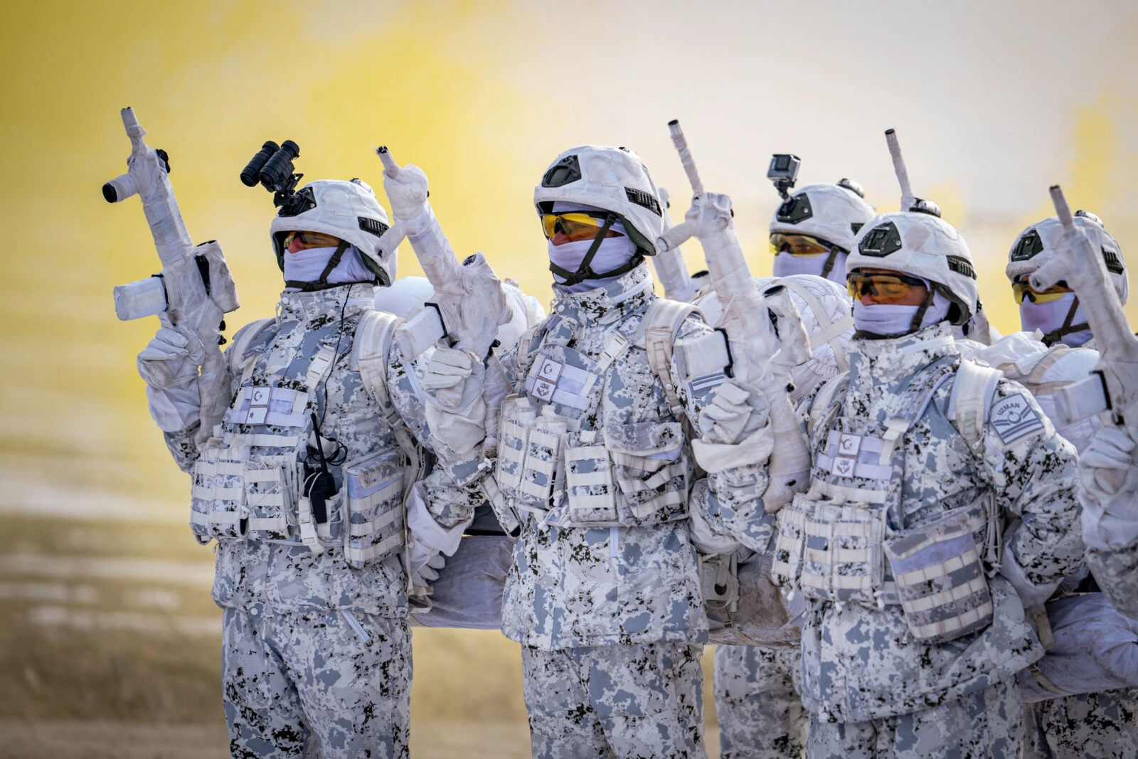Türkiye leads four-nation coalition in fight against Daesh terrorist ...