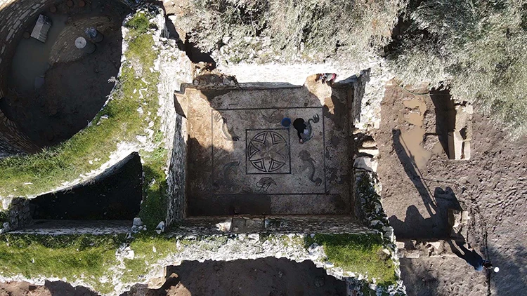 Large, well-preserved Roman-era bath mosaics discovered in Türkiye ...