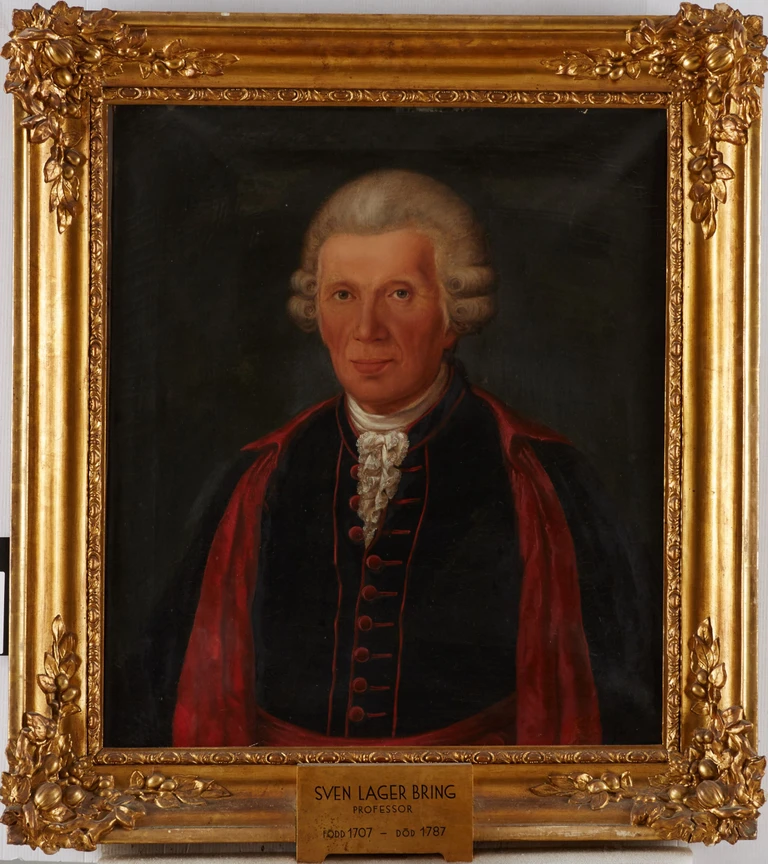 Did Odin come from Türkiye? Swedish historian claims Turkish ancestry ...