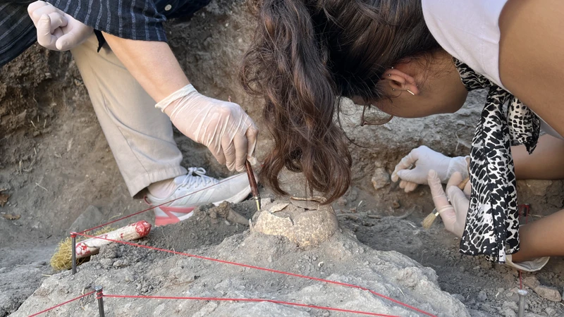 Shock discovery at Troy: Tomb of 'Last Trojans' unearthed - Türkiye Today