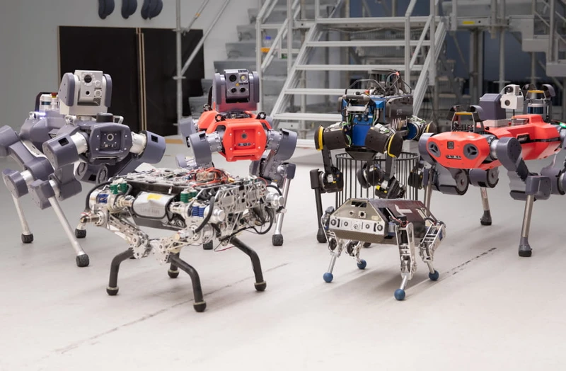 AI breakthroughs create new 'brain' for advanced robots - Türkiye Today