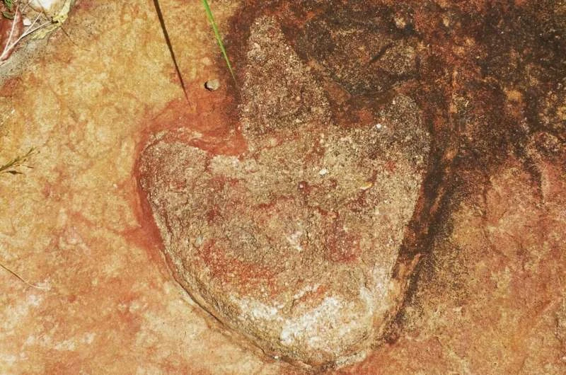 Dinosaur footprints on both sides of Atlantic confirm ancient land ...