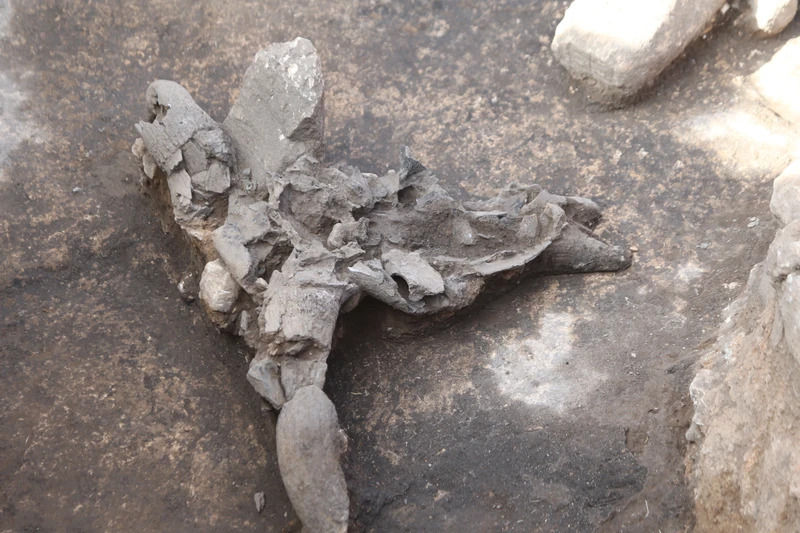 Karahantepe’s hidden relics leopard bones, fire pits in Türkiye reveal ...