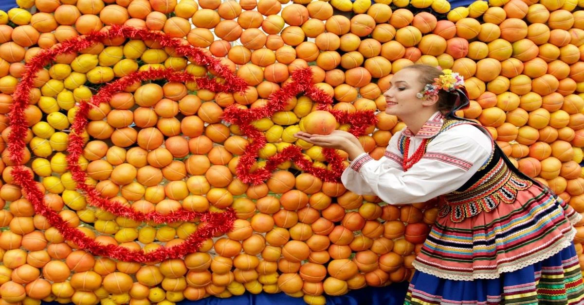 Orange festival store